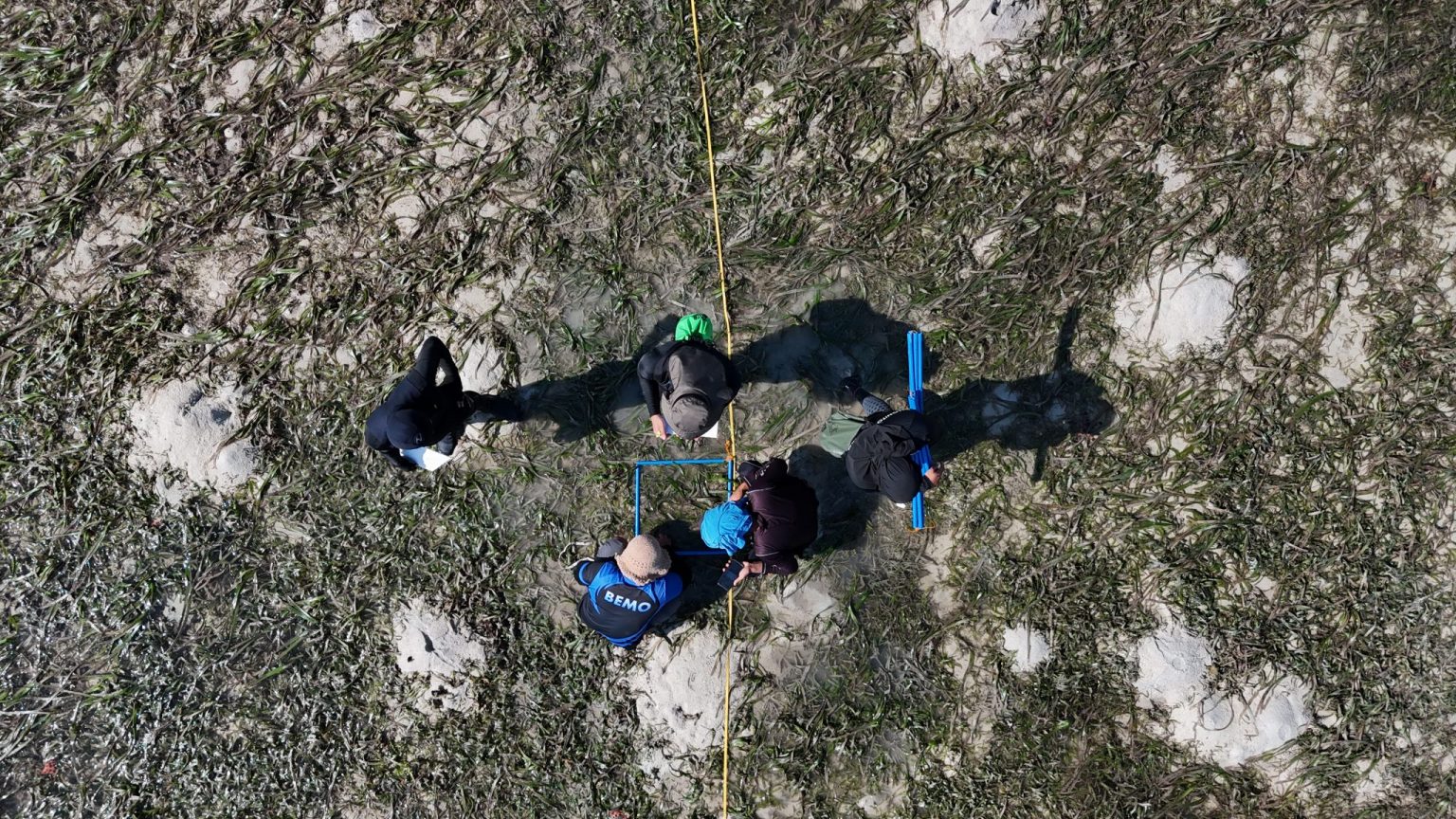 The CCEF Technical Team in the dive survey for the Protected Area ...