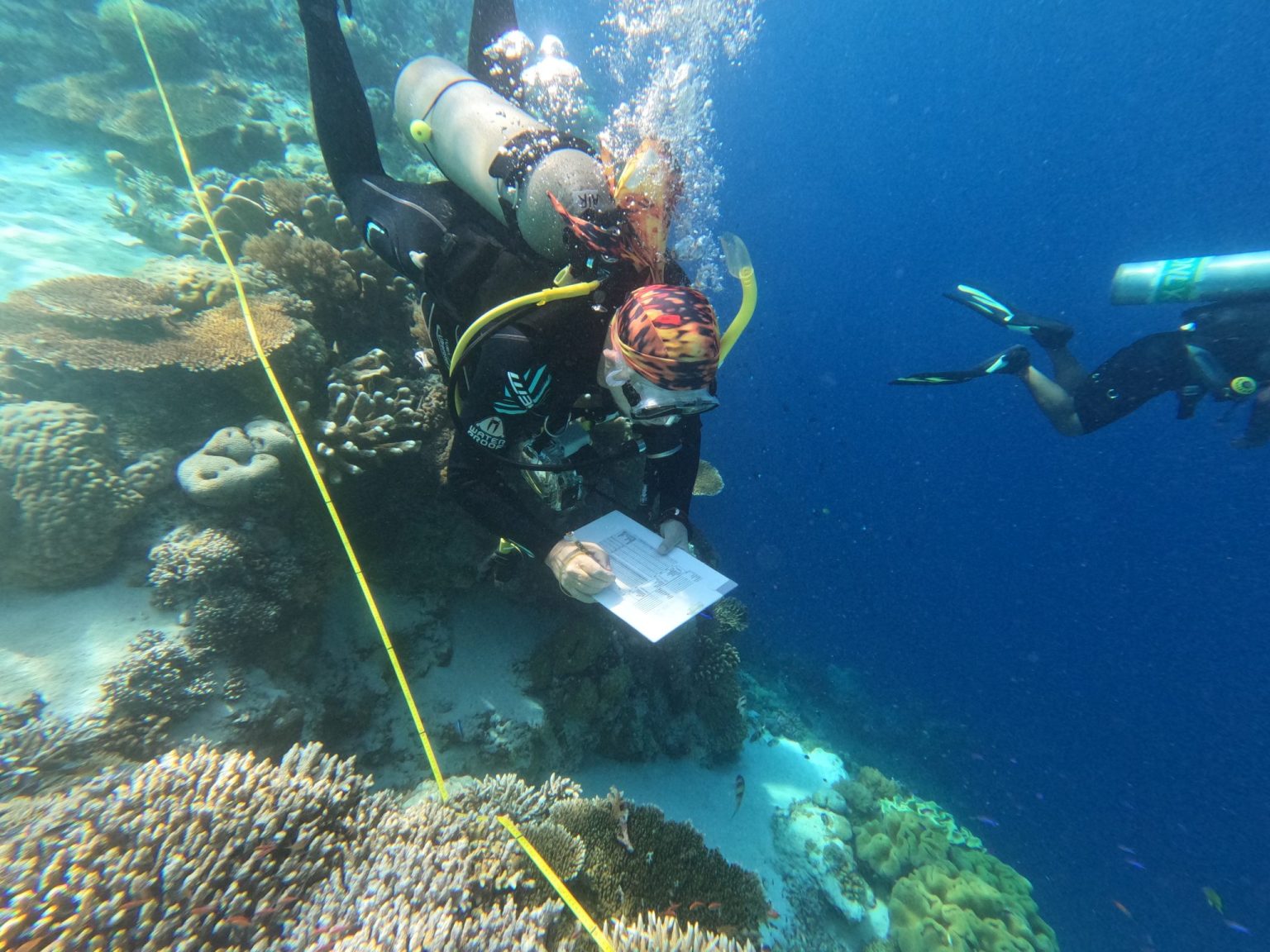 Dive into Conservation: Saving Philippine Reefs Expedition 2024 at ...