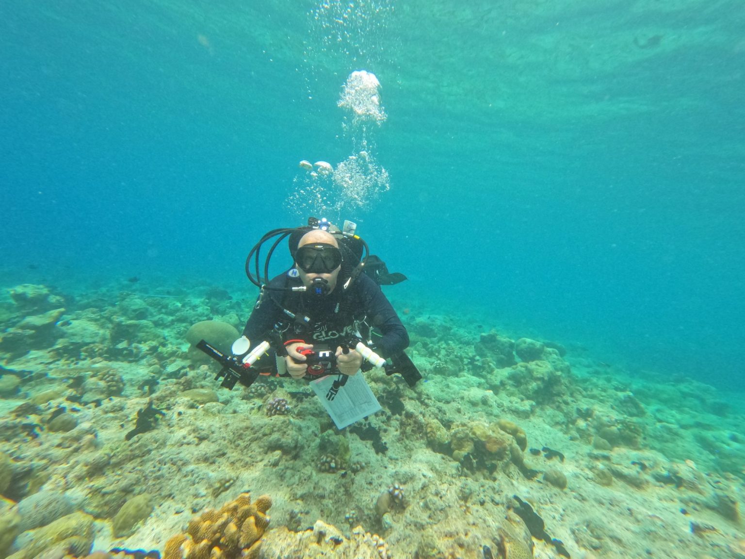 Dive into Conservation: Saving Philippine Reefs Expedition 2024 at ...