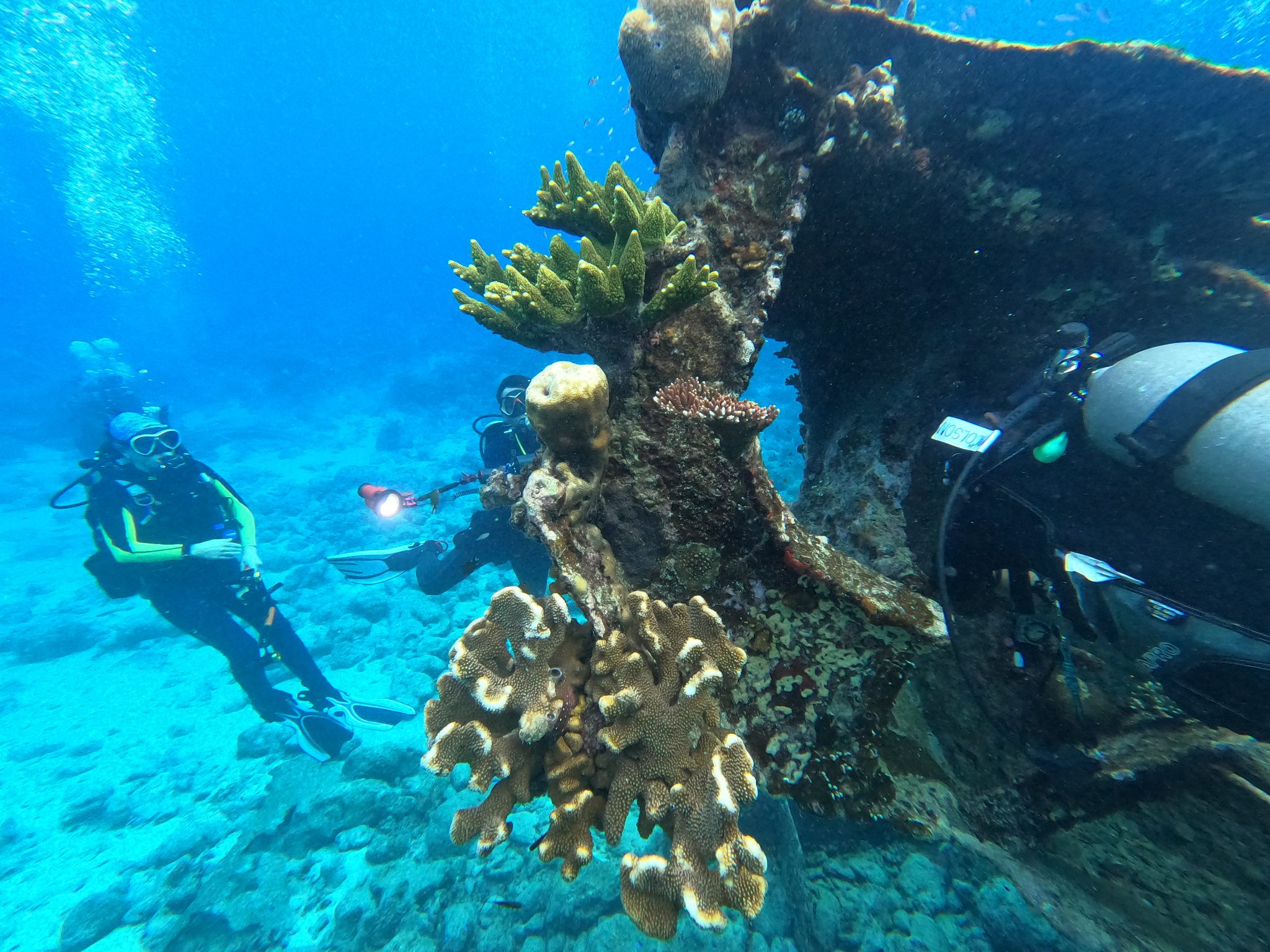 Dive into Conservation: Saving Philippine Reefs Expedition 2024 at ...