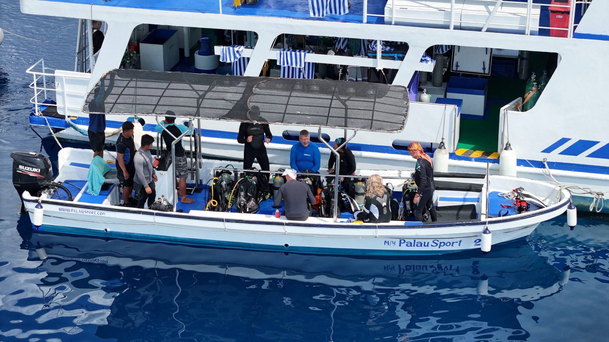 Dive into Conservation: Saving Philippine Reefs Expedition 2024 at ...