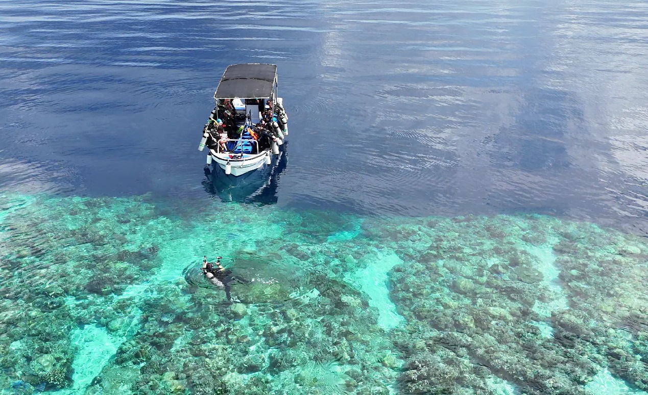 Dive into Conservation: Saving Philippine Reefs Expedition 2024 at ...