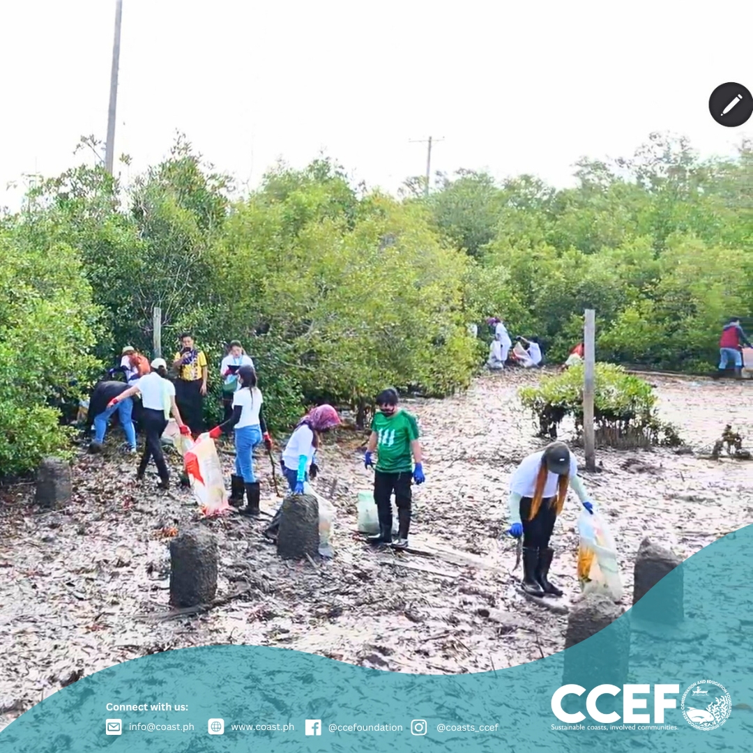 INTERNATIONAL COASTAL CLEANUP DAY 2024 - CCEF